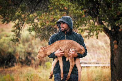 DRI DUCK | Durable, Comfortable, Built-to-Last Workwear